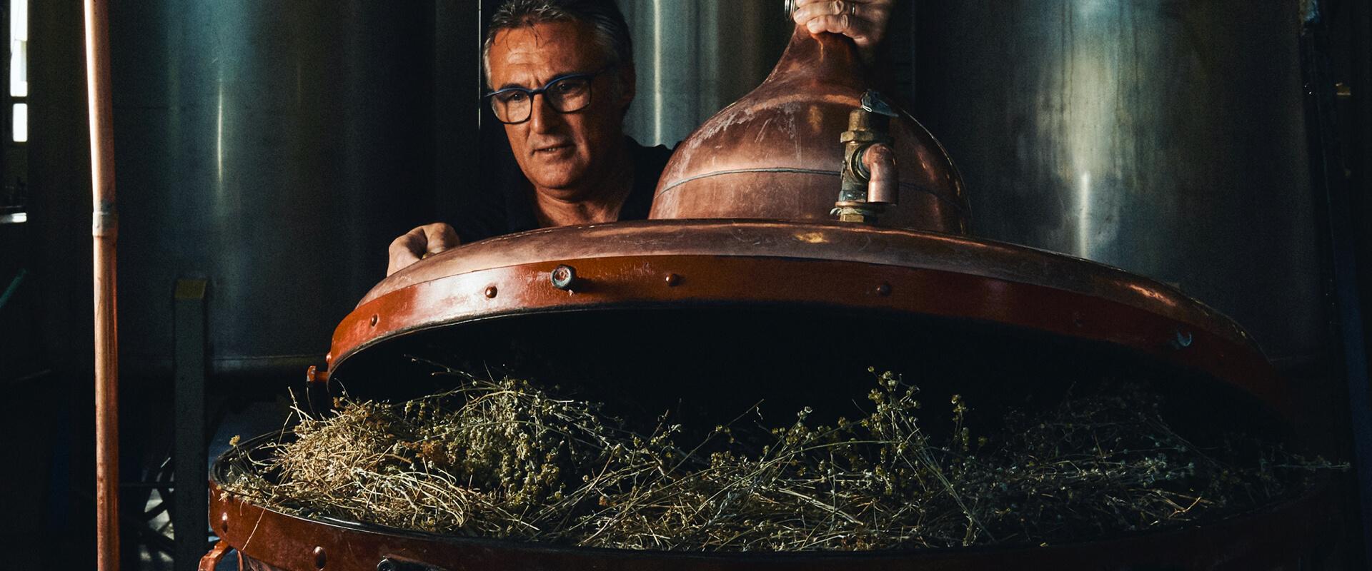 What is genepi or genepy? The history, the varieties and the genepi ...